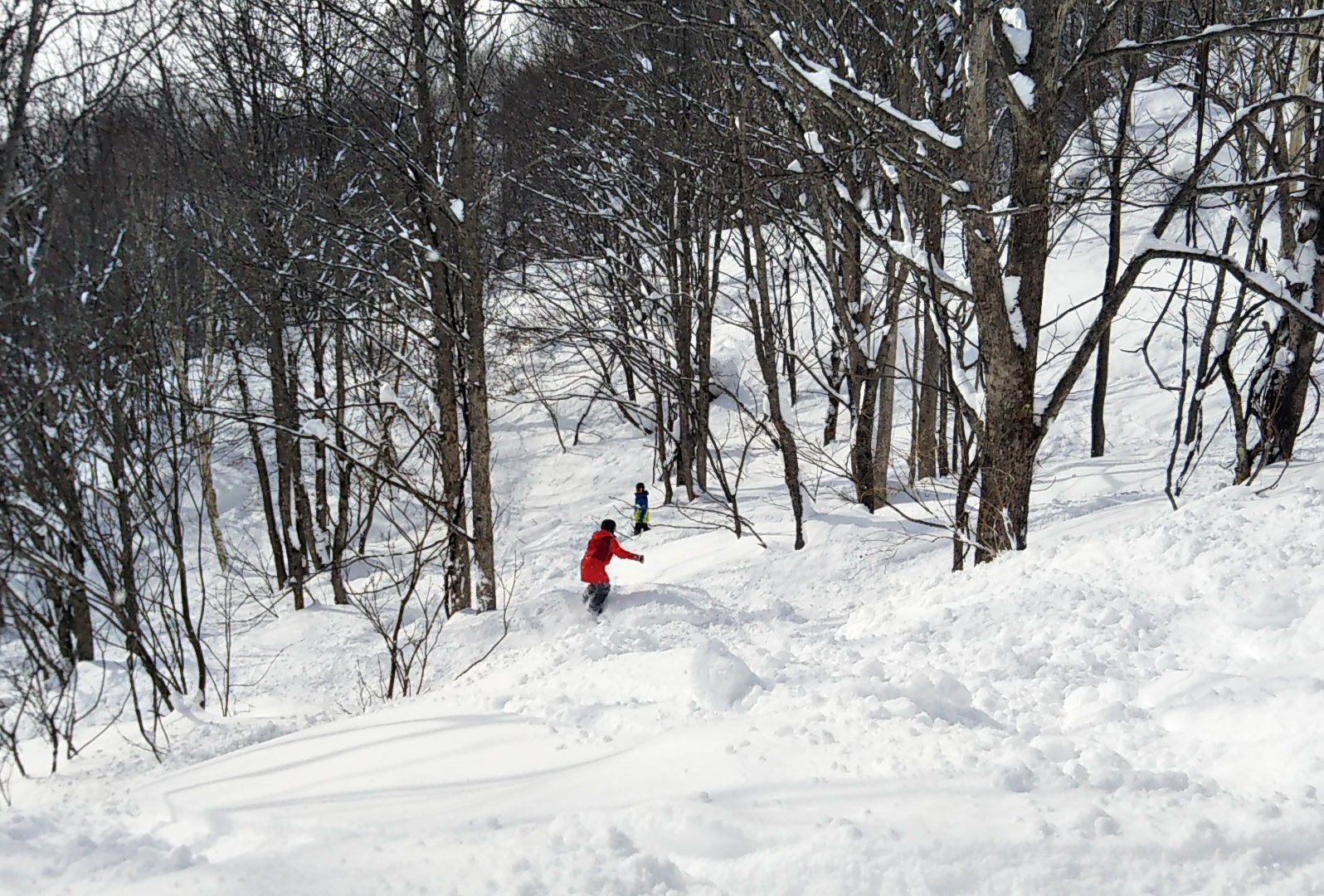 「つがいけマウンテンリゾート」で味わうダイナミックなツリーラン「TSUGA POW DBD」 帰りは千国街道の「道の駅 おたり」で食事や温泉、お土産も！｜スキー＆スノーボード｜レポート ...